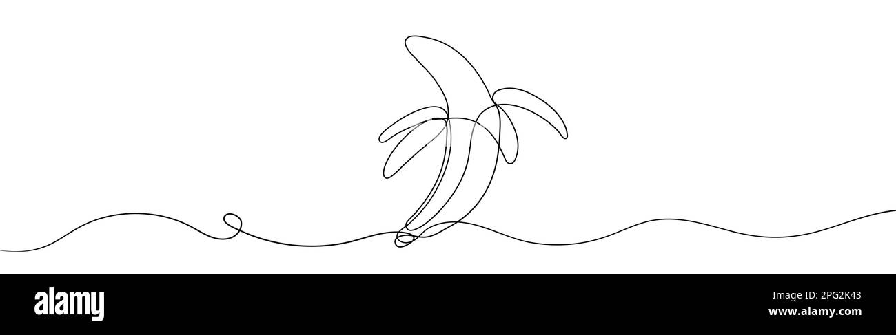 Banana Line Art Drawing. Continuous Line Drawing of Banana. Vector ...