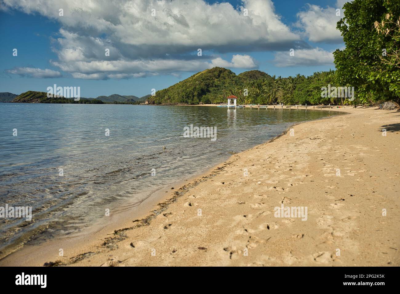 Dreamlike idyllic beach of Coron in the Philippines with palm trees ...