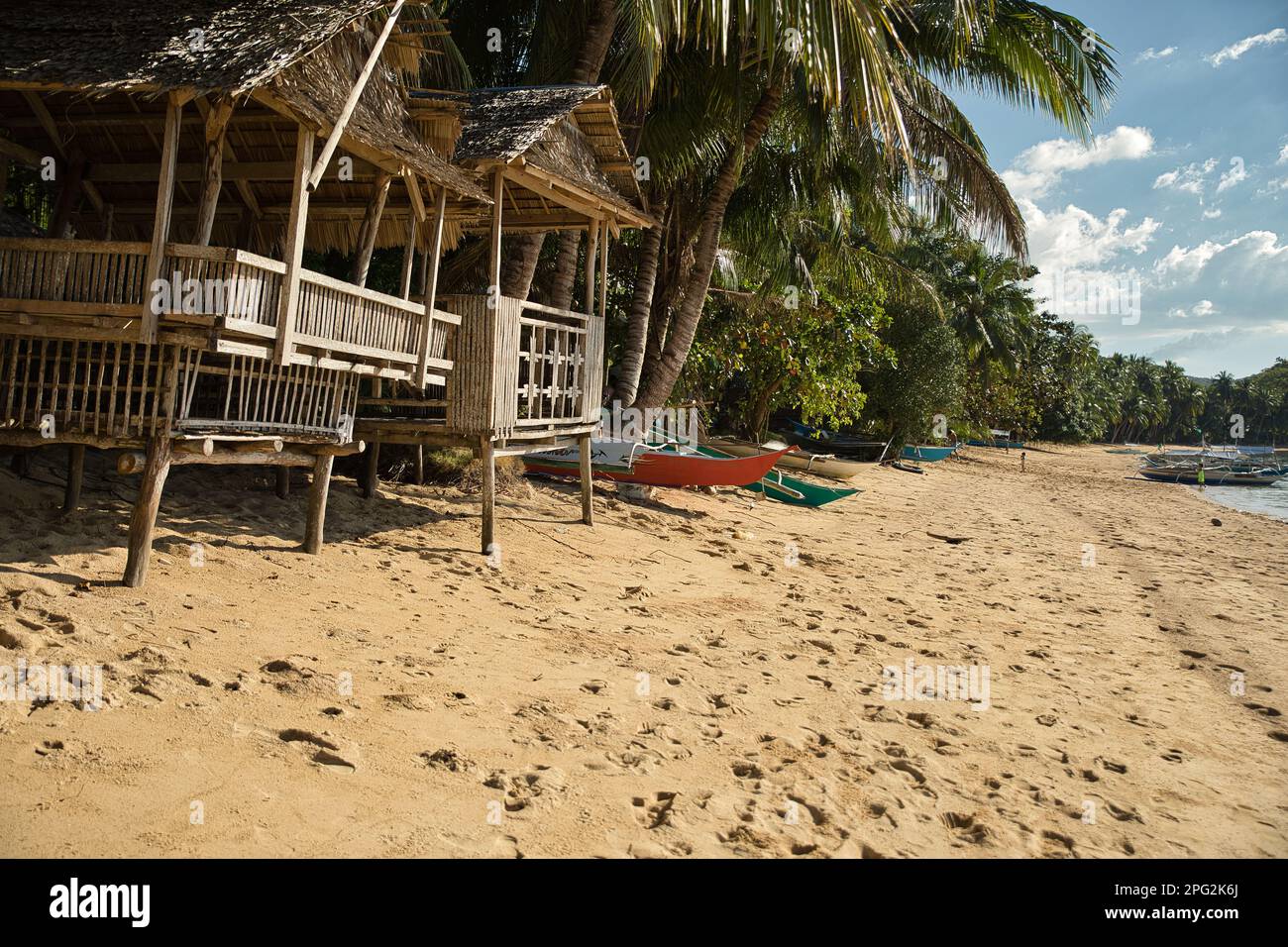 Dreamlike idyllic beach of Coron in the Philippines with palm trees and ...