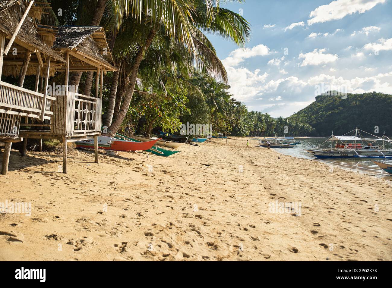 Dreamlike idyllic beach of Coron in the Philippines with palm trees and ...
