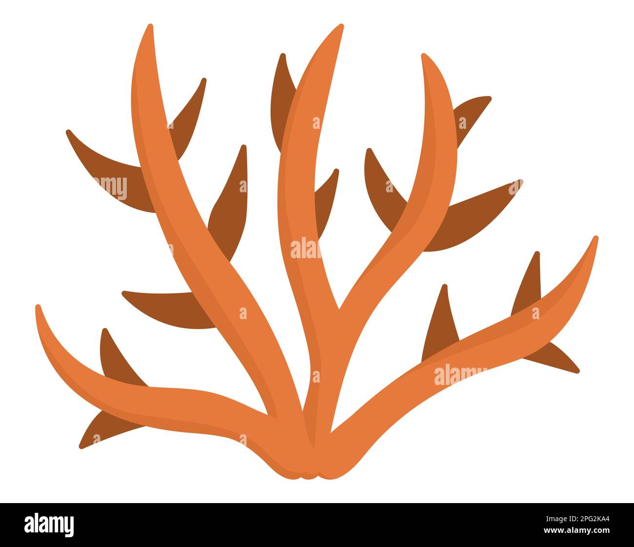 Vector orange coral icon. Under the sea illustration with cute seaweeds ...