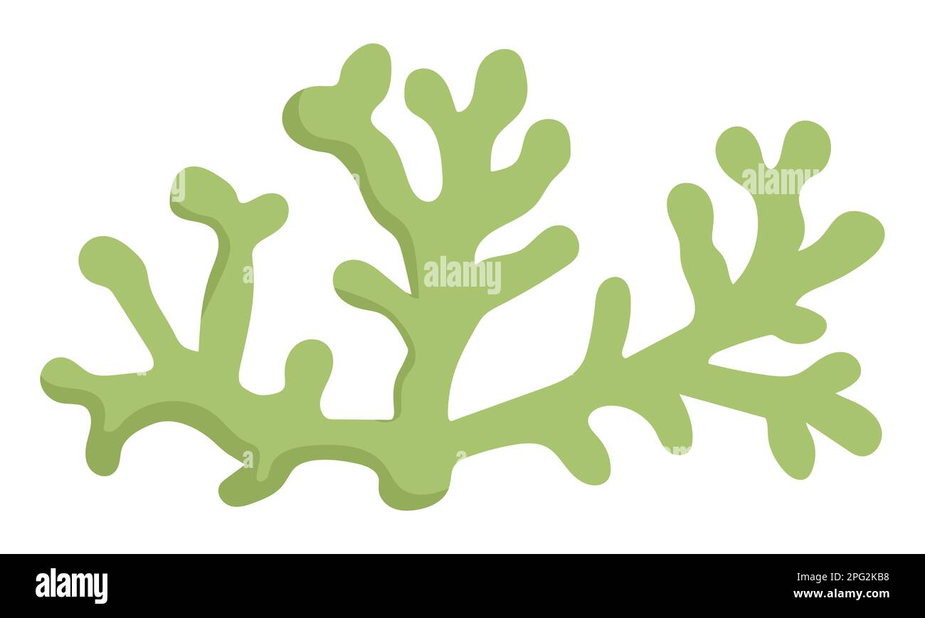 Vector green coral icon. Under the sea illustration with cute seaweeds ...