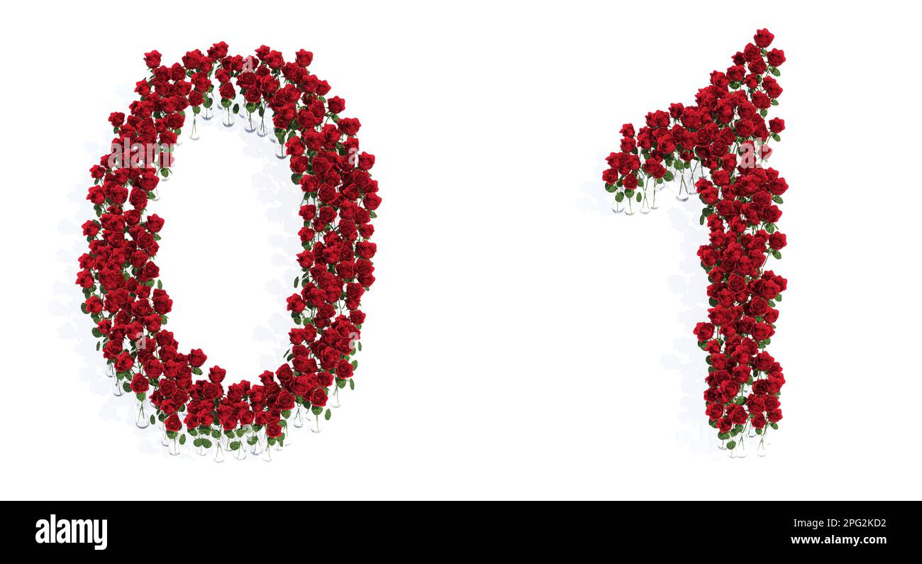 Concept or conceptual set of beautiful blooming red roses bouquets ...