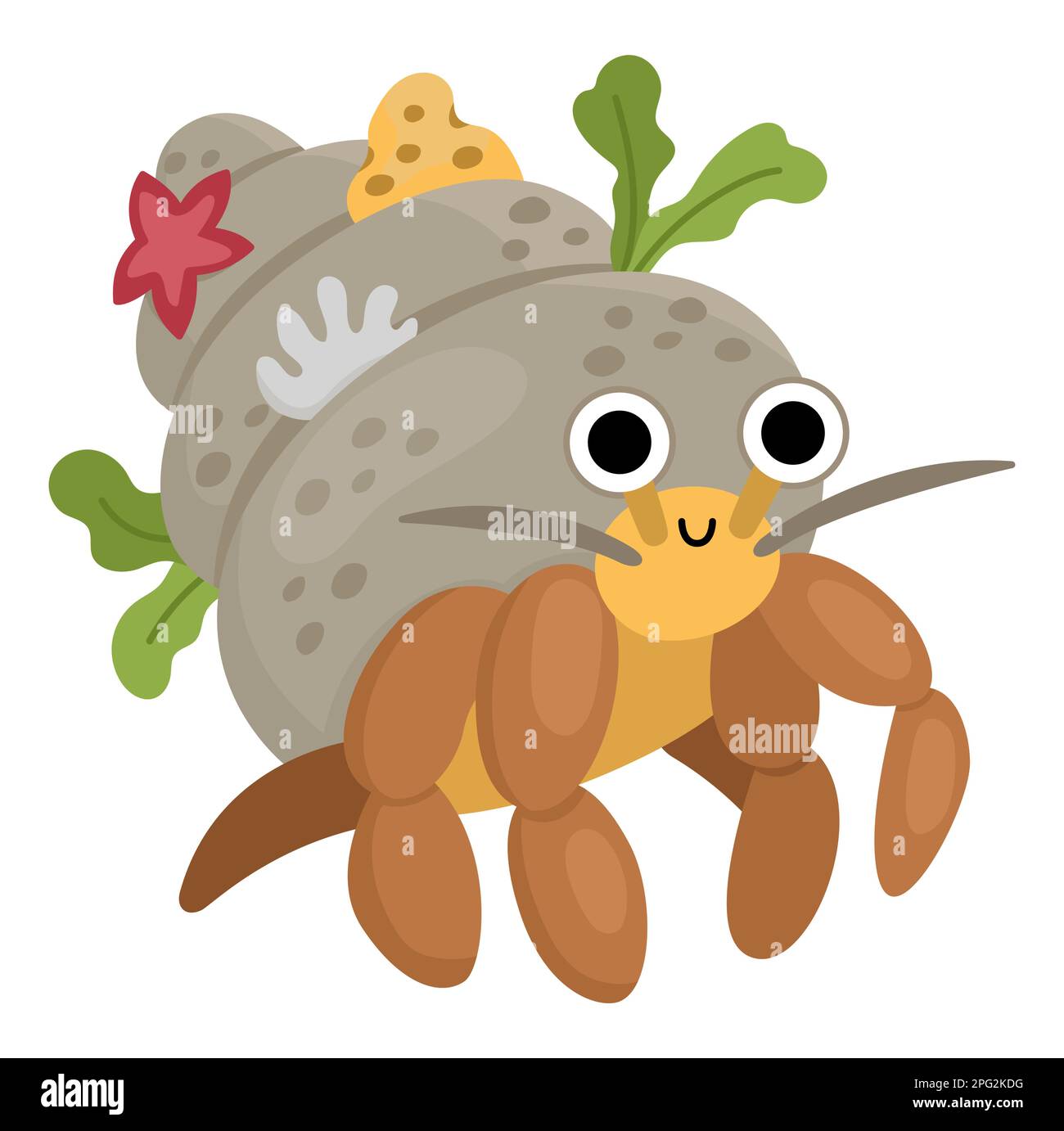 Vector hermit crab with shell icon. Under the sea illustration with ...