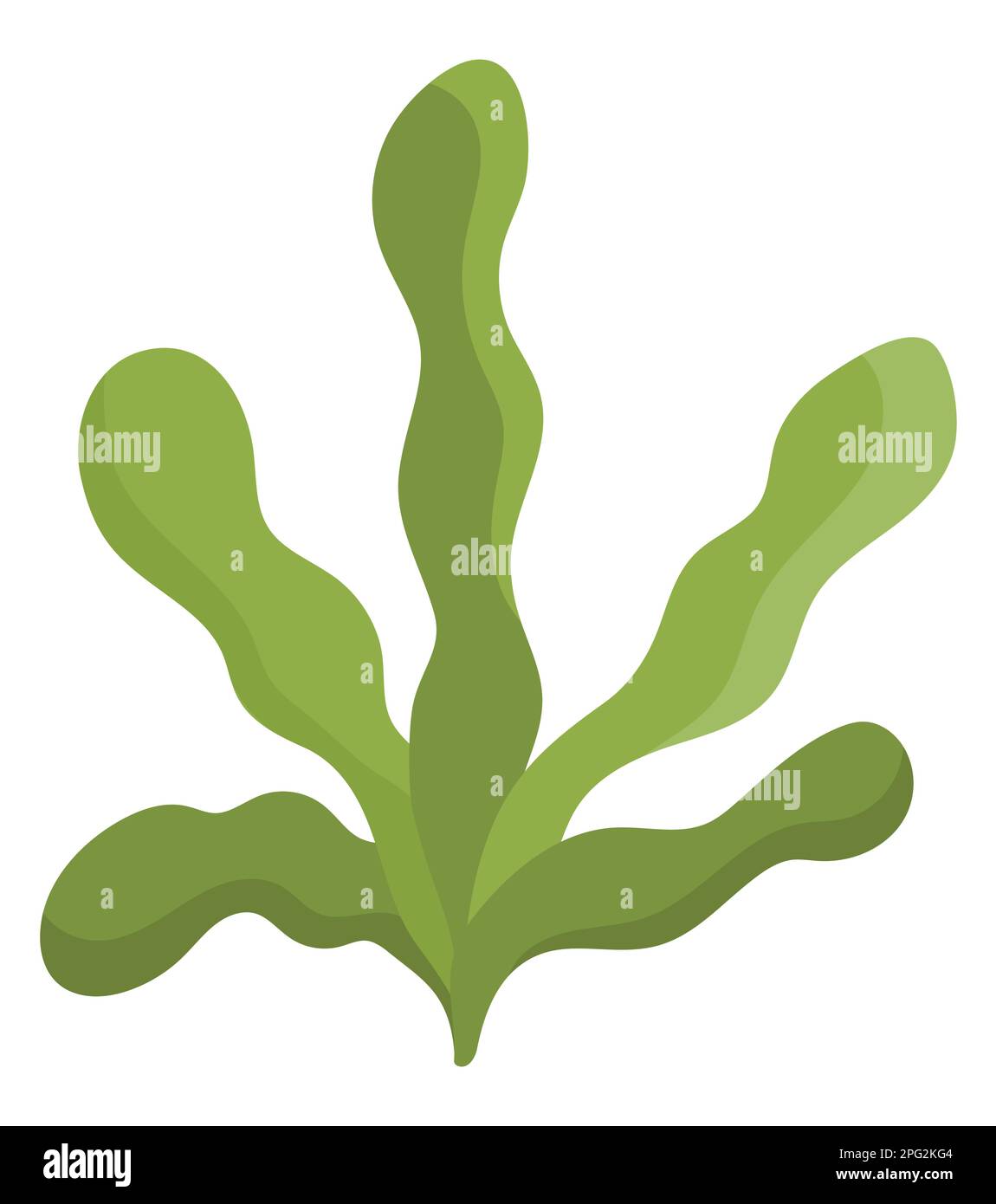 Vector green seaweeds icon. Under the sea illustration with cute kelp ...