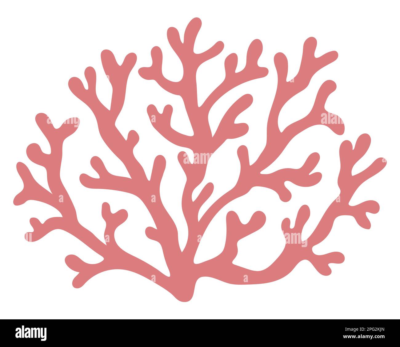 Corals Clipart