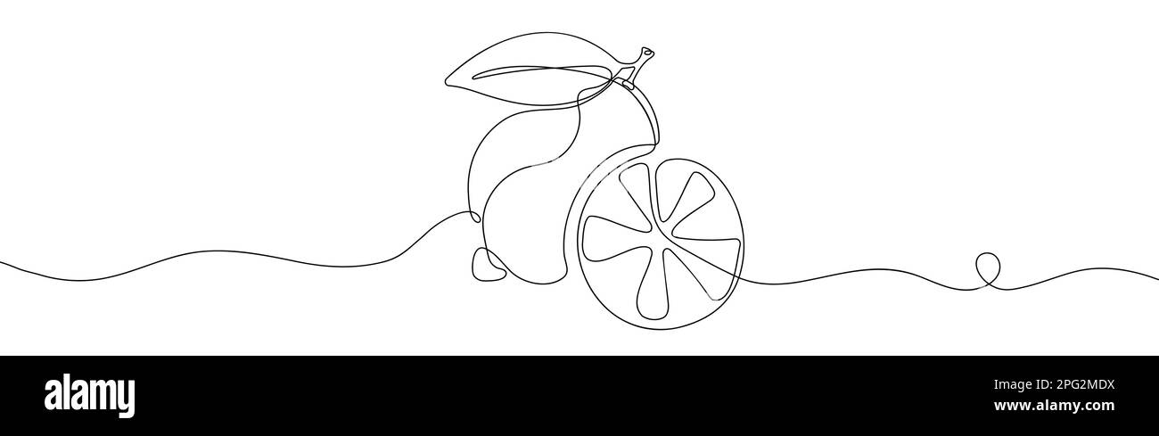 Lemon Line Art Drawing. Continuous Line Drawing of Lemon . Vector ...