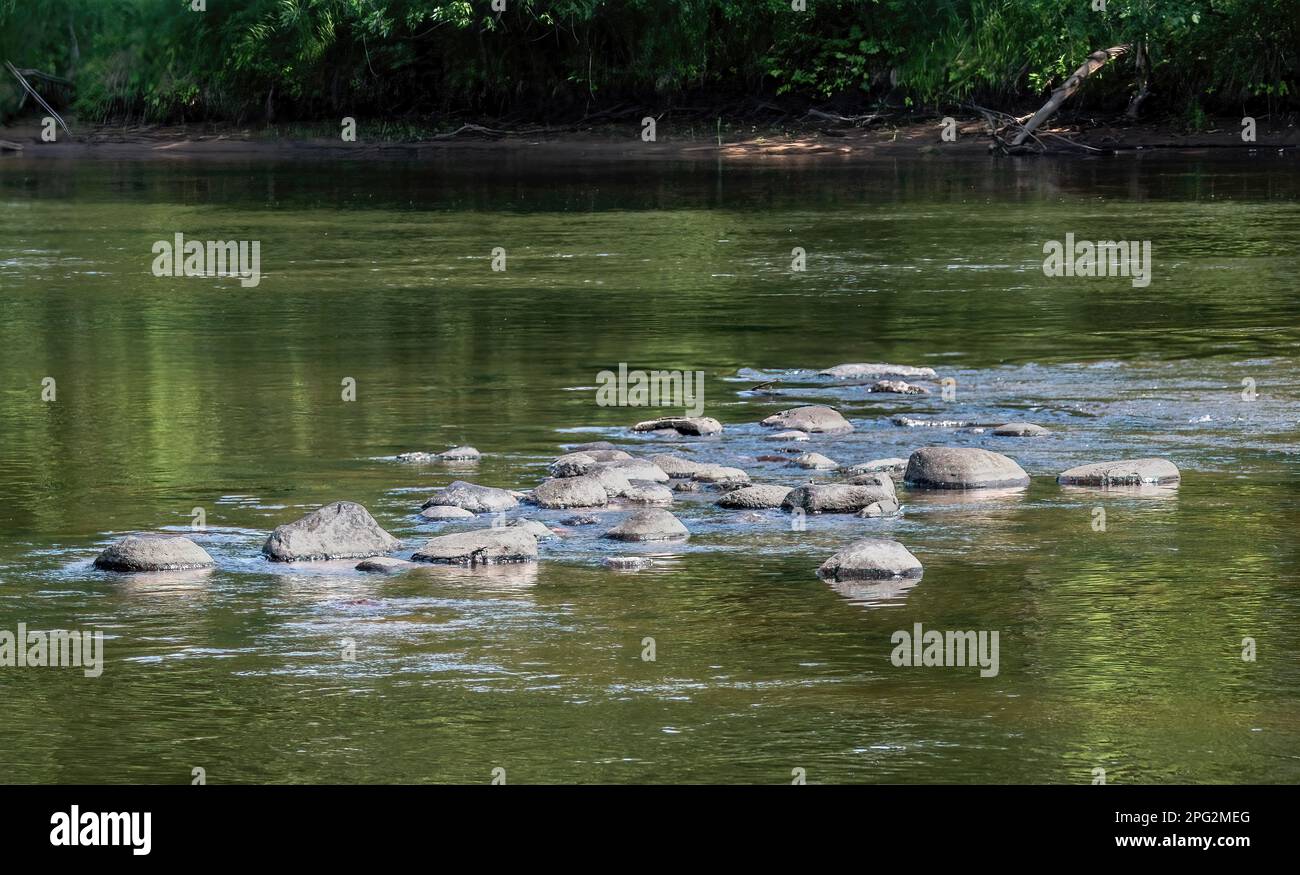 Stepping stone rocks in the St. Croix River at St. Croix State Park in ...