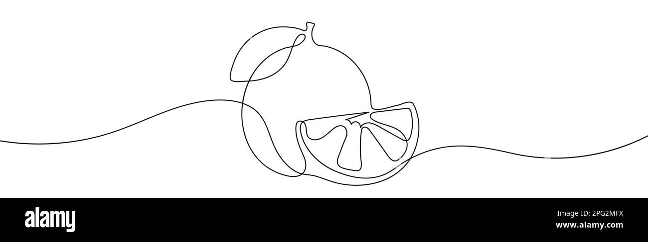 Orange Line Art Drawing. Continuous Line Drawing of Orange . Vector ...