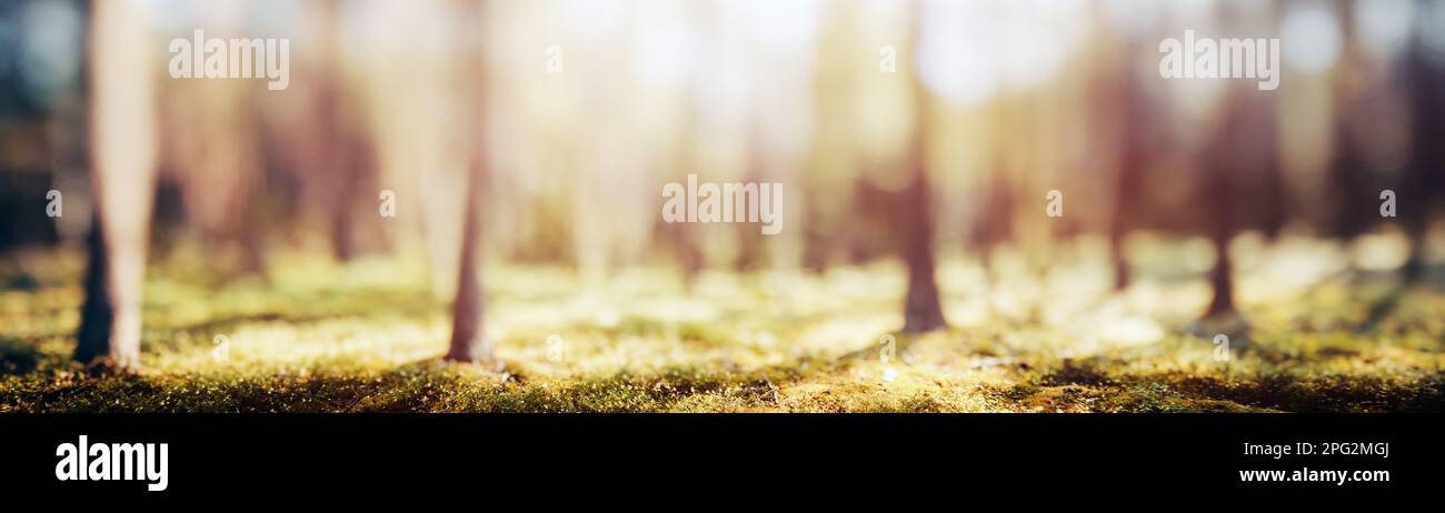 Beautiful green landscape panorama. Forest nature background Stock ...