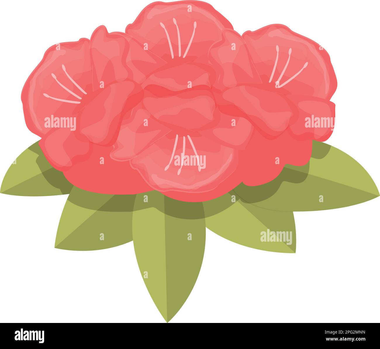 Beautiful rhododendron icon cartoon vector. Flower plant. Floral bloom ...