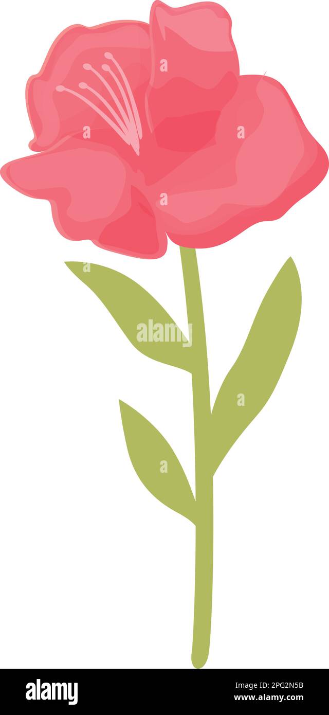 Natural rhododendron icon cartoon vector. Flower plant. Color pink ...