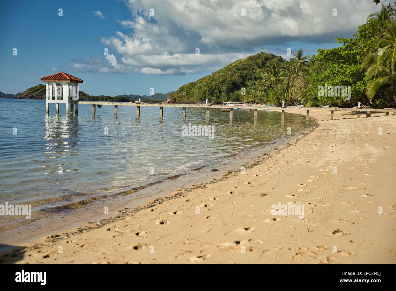 Dreamlike idyllic beach of Coron in the Philippines with palm trees ...