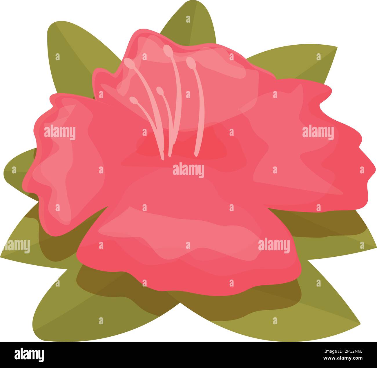 Colorful rhododendron icon cartoon vector. Flower plant. Botany spring ...