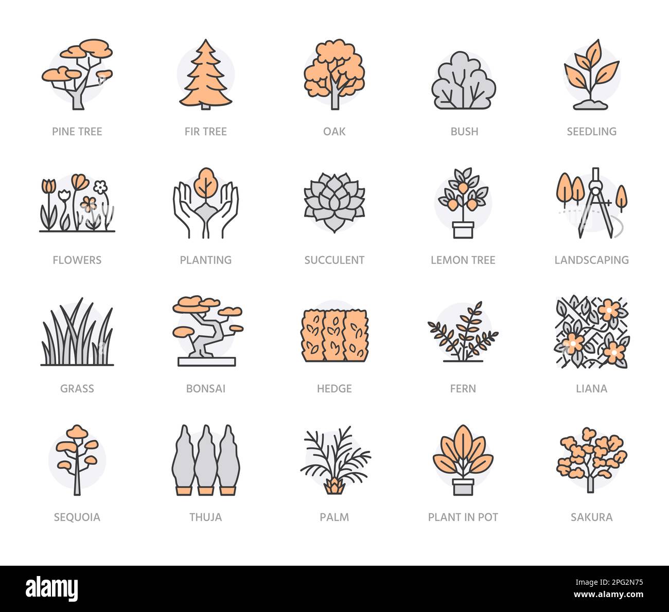 Trees flat line icons set. Plants, landscape design, fir tree, succulent, privacy shrub, lawn ...