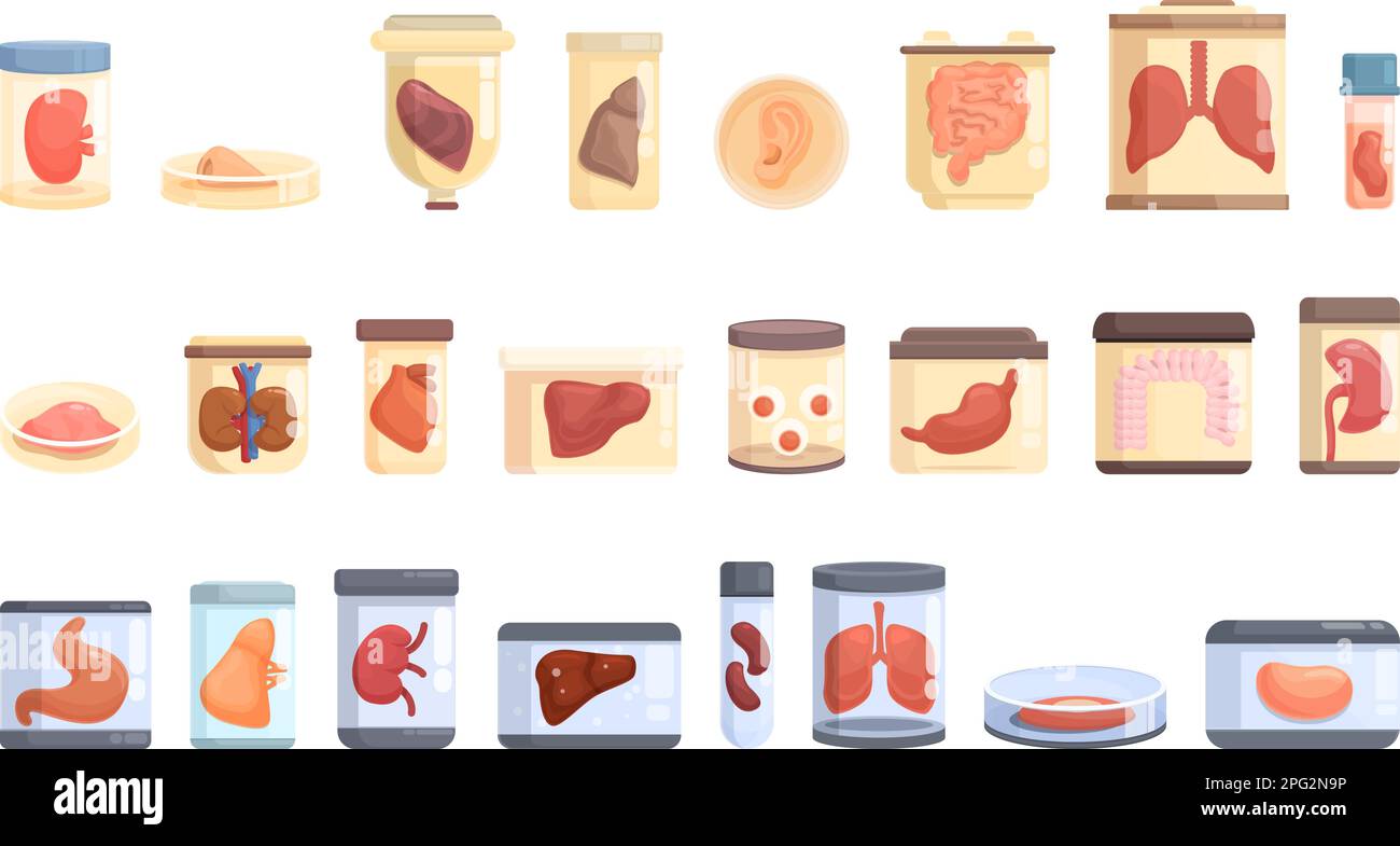 Growing Organs icons set cartoon vector. Human heart. Medicine mind ...