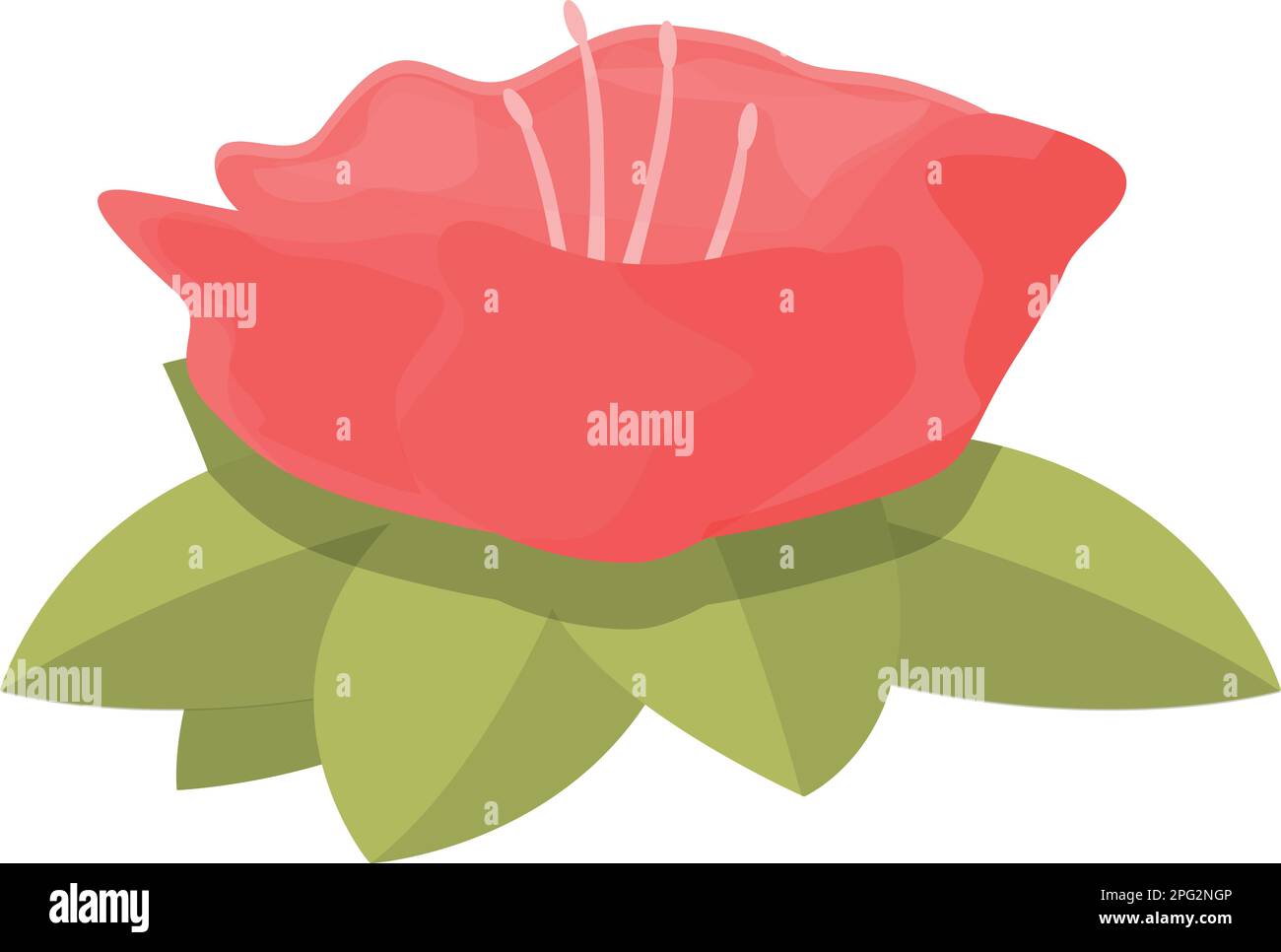 Rhododendron beauty icon cartoon vector. Flower plant. Colorful natural ...