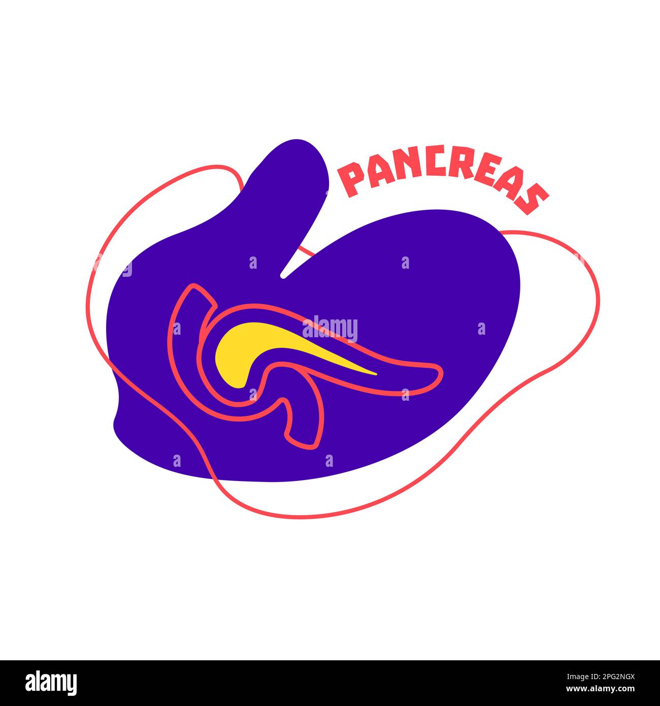 Pancreas endocrine and digestive systems organ outline icon Stock ...