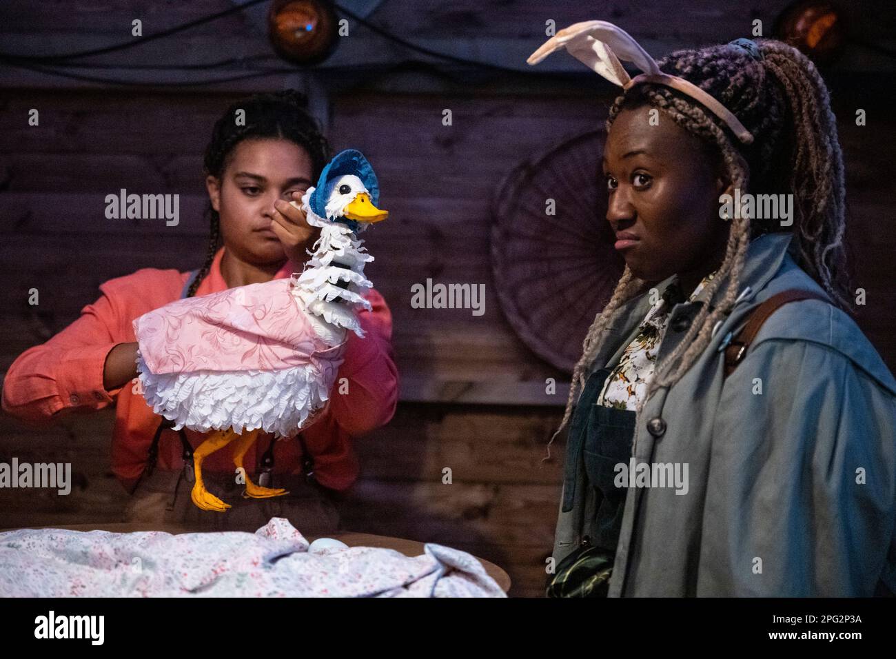 Jemima puddle duck hi-res stock photography and images - Alamy