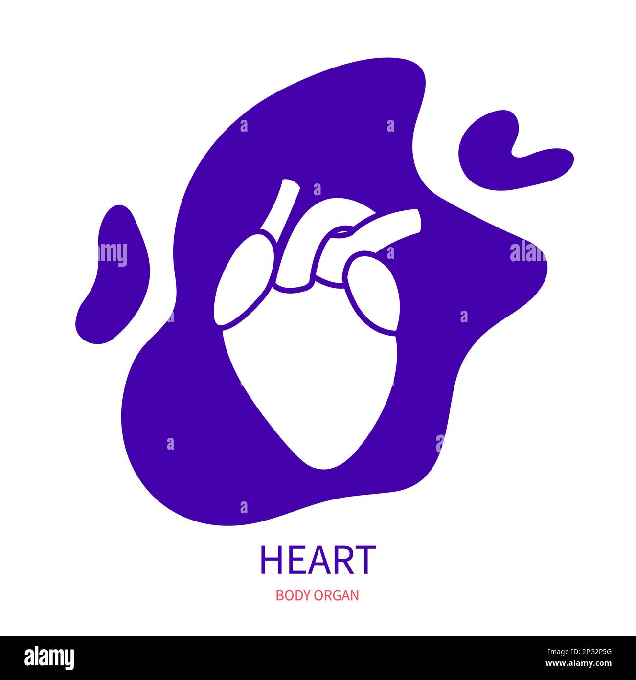 Human heart body organ silhouette pictogram icon Stock Vector Image ...