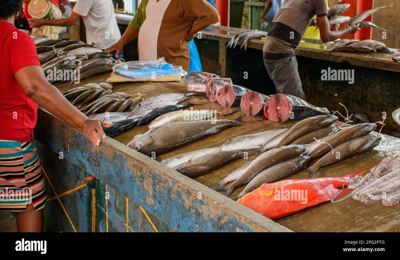 Fresh fish for sale in Victoria fish market, Seychelles: colorful ...