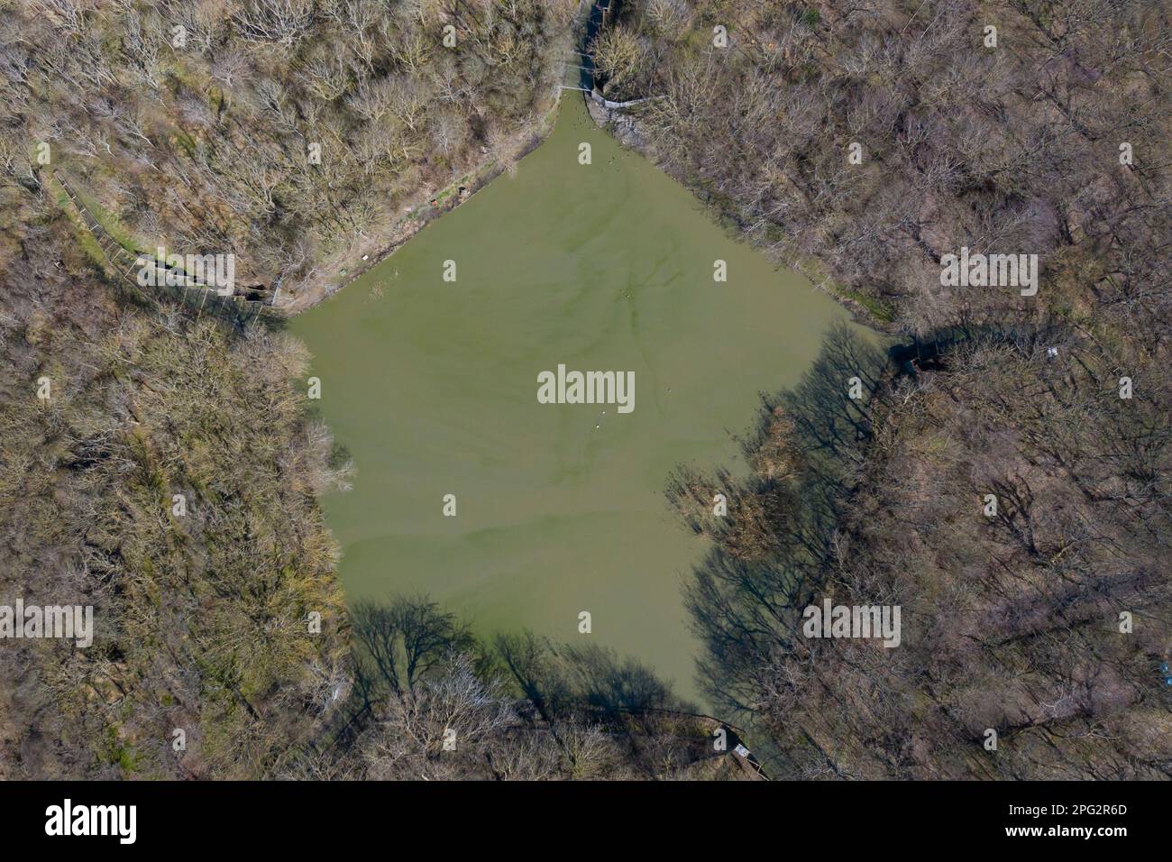 View of the historic duck decoy (Vogelkoje) in Oldsum, Foehr Island ...