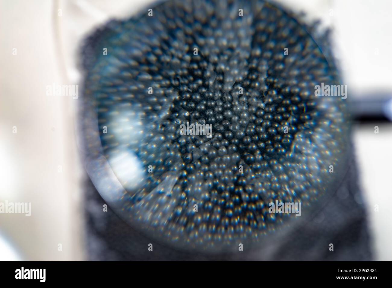 Close up of abrasive blasting media sample,cut wire shot peening ...