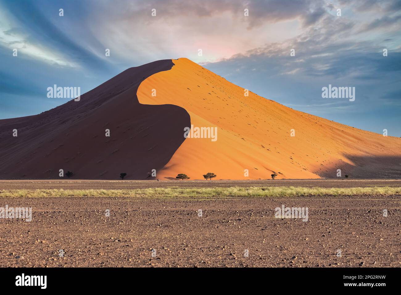 Namibia, the Namib desert, graphic landscape of yellow dunes, rain season Stock Photo - Alamy
