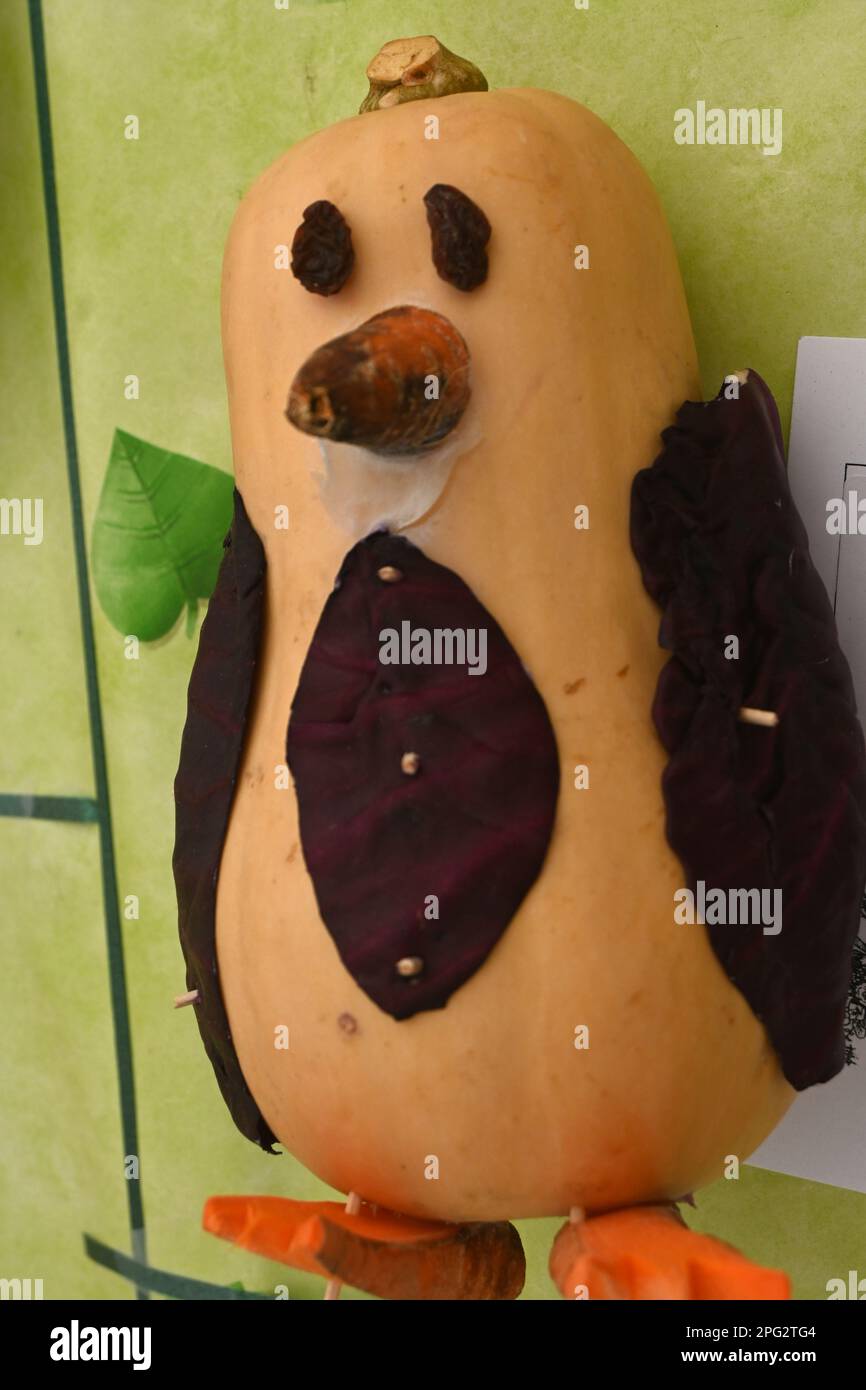 butternut squash penguin, childs exhbit at horticultural show Stock ...