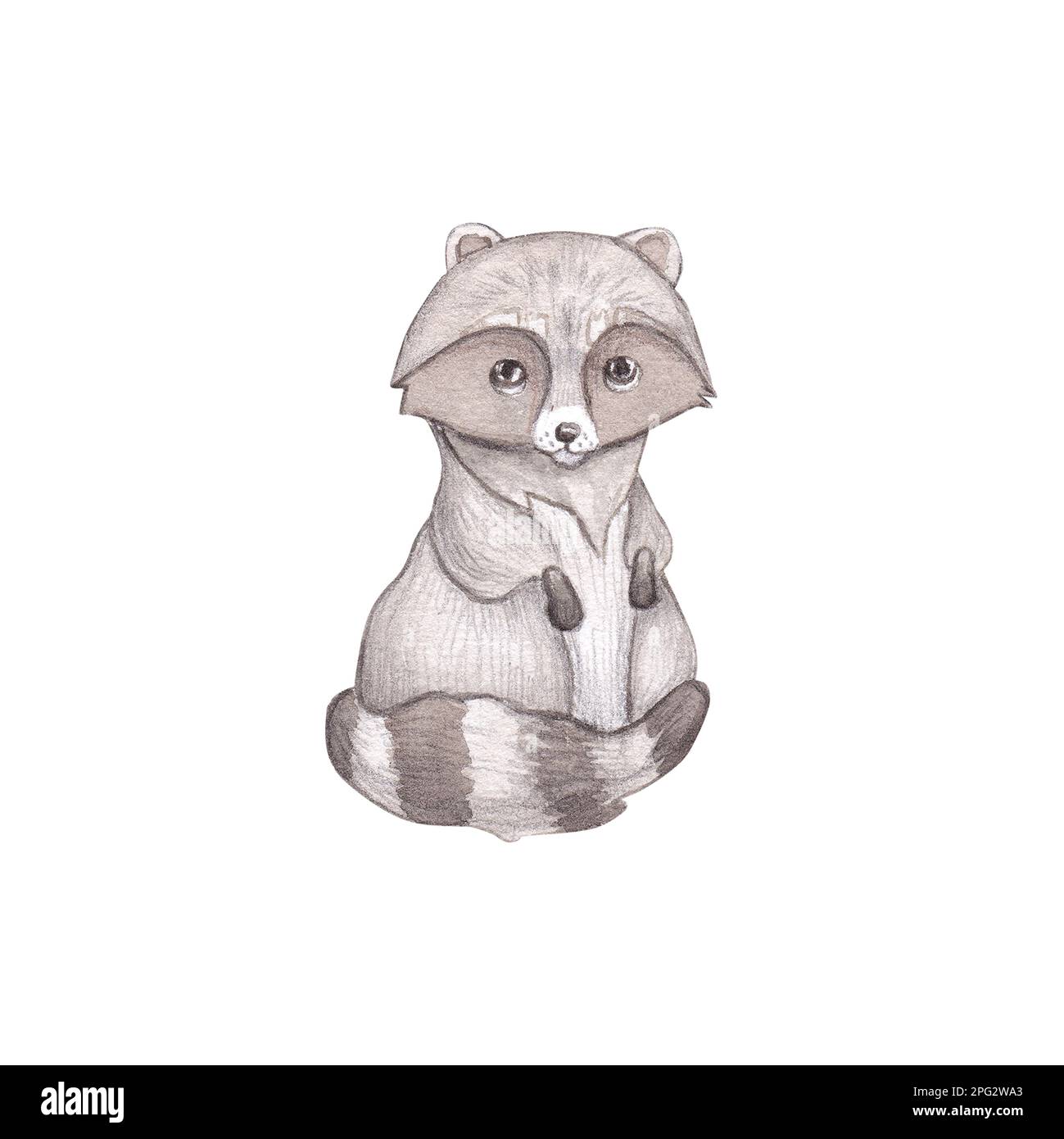 Cute raccoon watercolor on a white background. children's watercolor ...