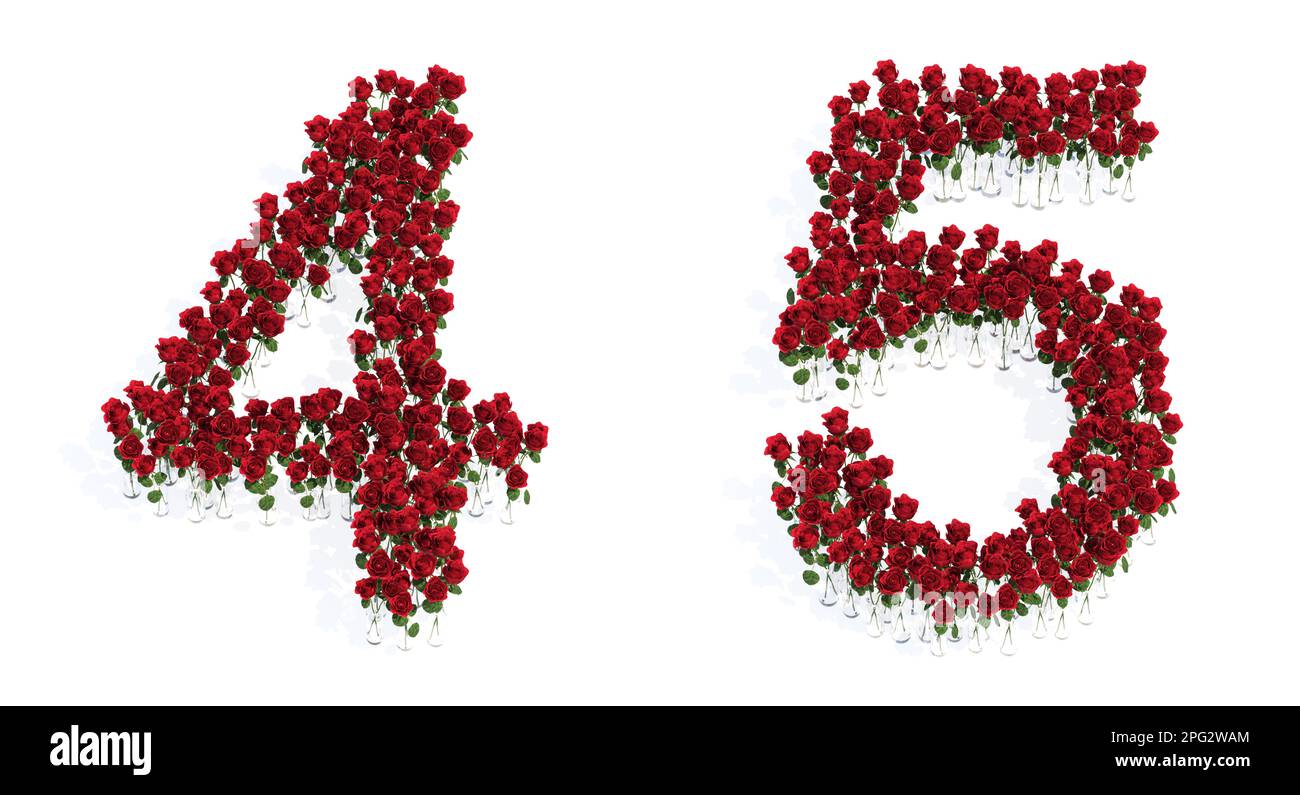 Concept or conceptual set of beautiful blooming red roses bouquets ...