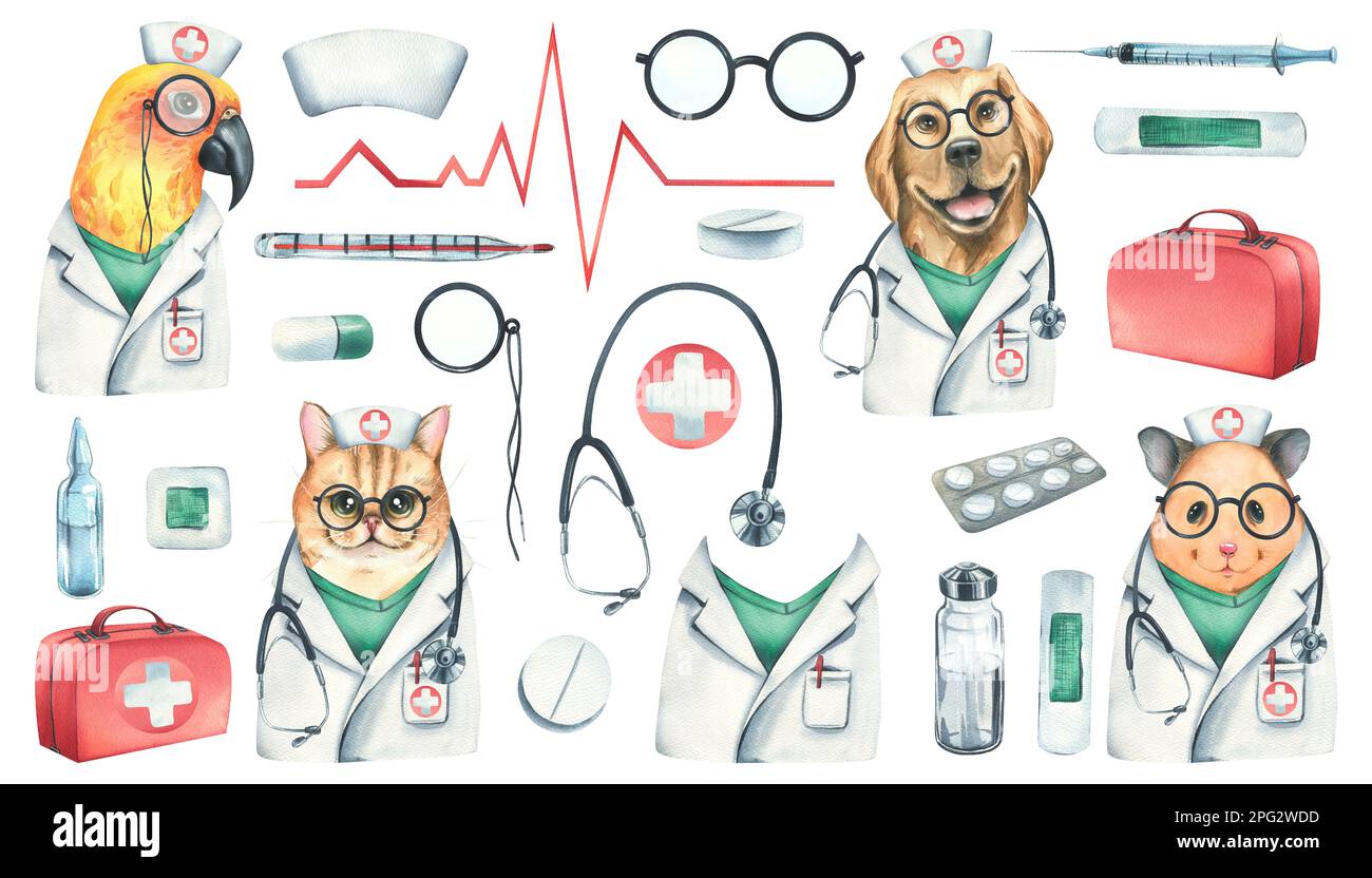 Medical set with animal doctors cat, dog, parrot and hamster ...