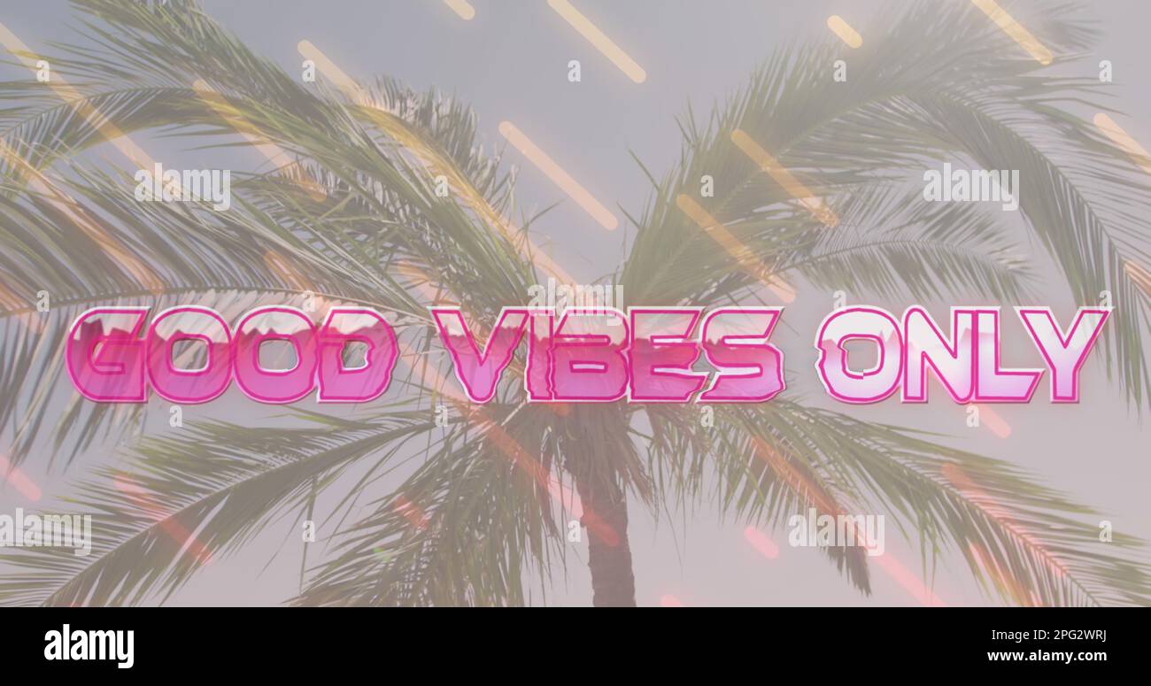 Tree background hi-res stock photography and images - Alamy