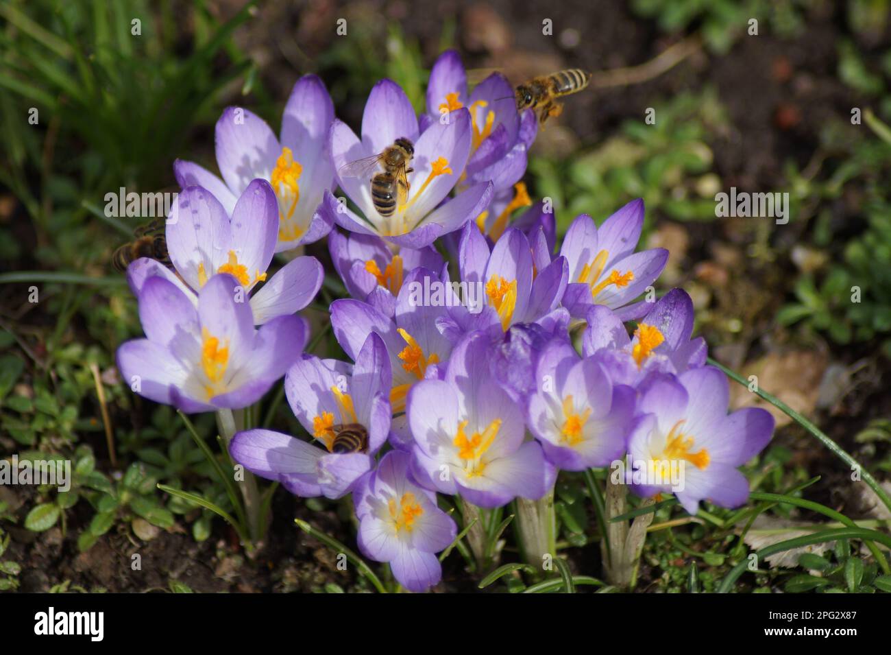 Spring season 2023 hi-res stock photography and images - Alamy