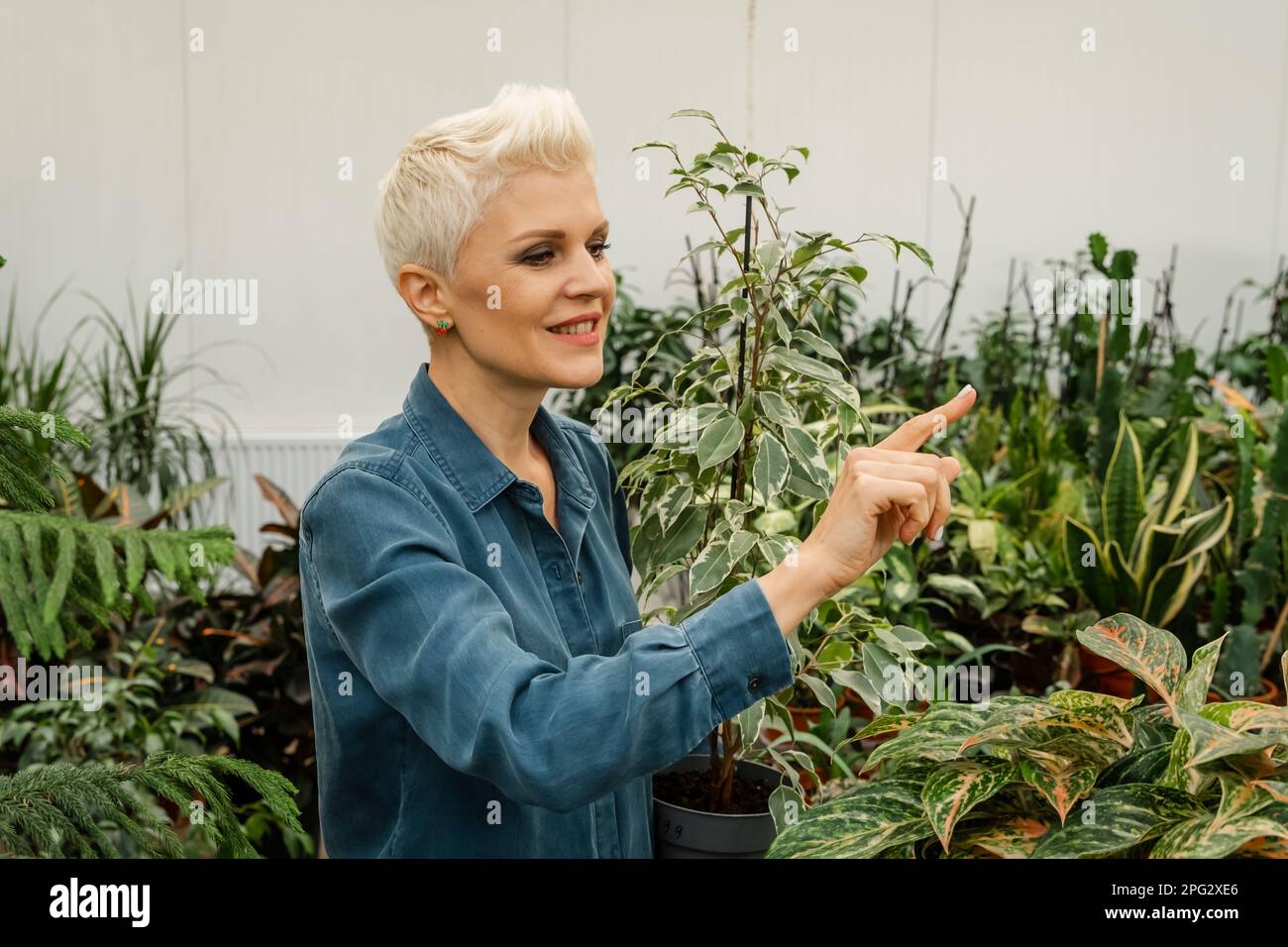 Botany is about plants flowers and herbs. Caucasian happy woman enjoy ...