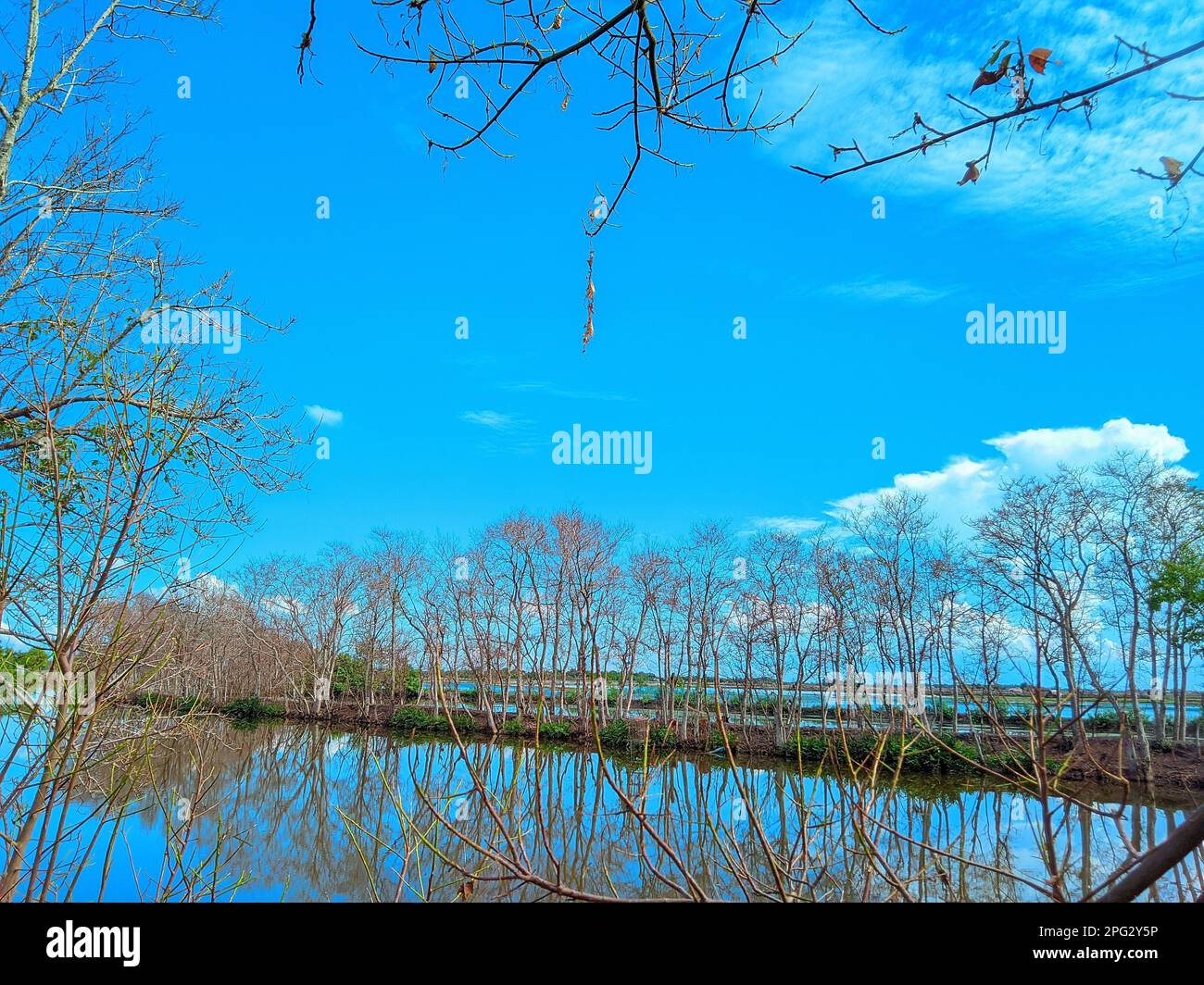 Beautiful Blue Sky Stock Photo - Alamy