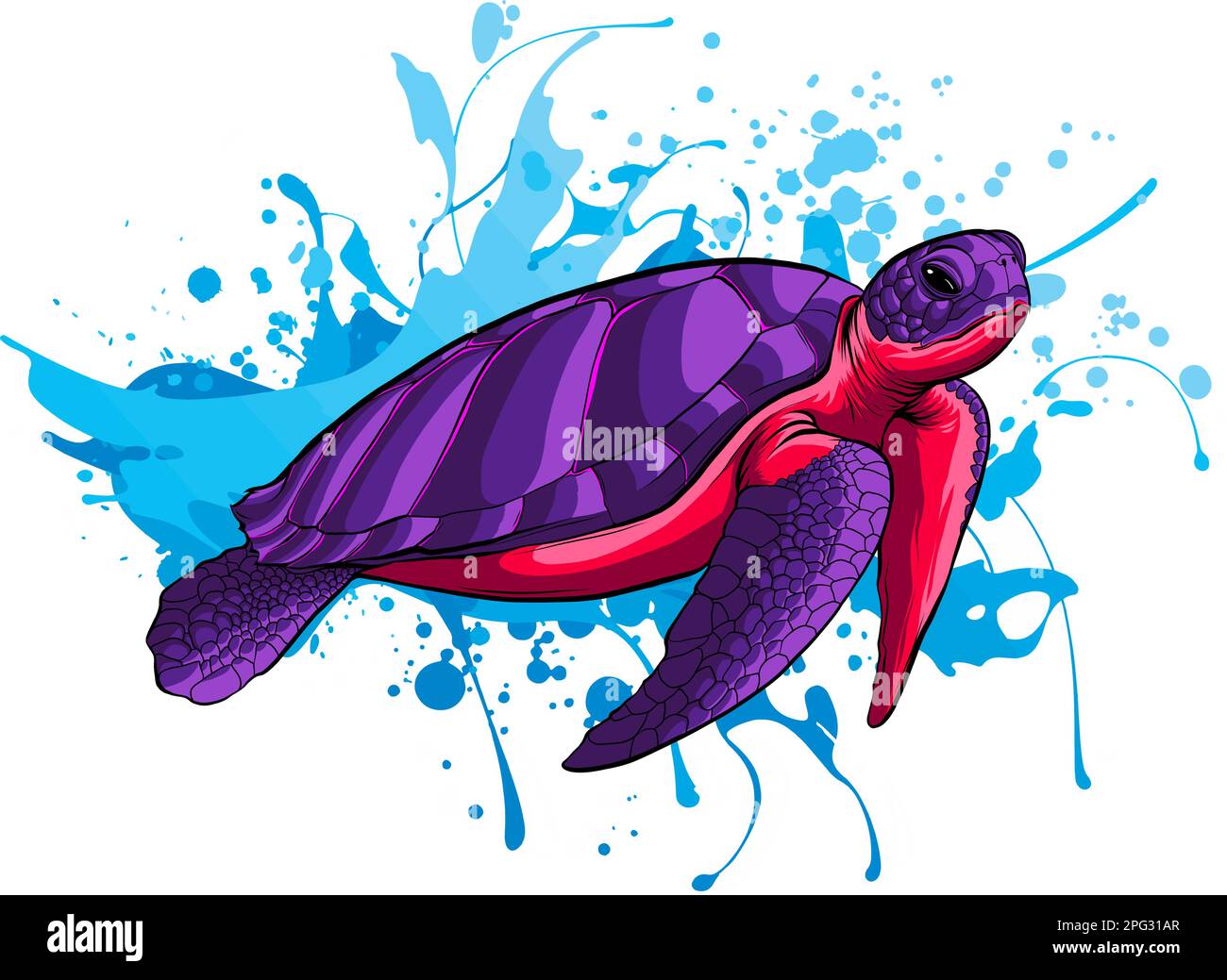 Sea turtle colored drawing of a sea turtle on a white background ...