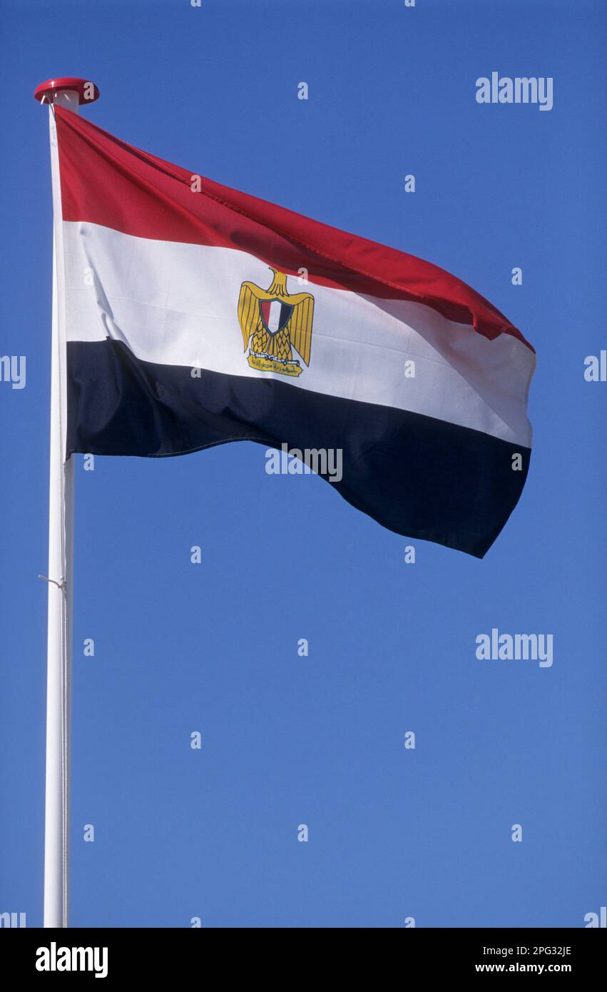 The national flag of Egypt Stock Photo - Alamy
