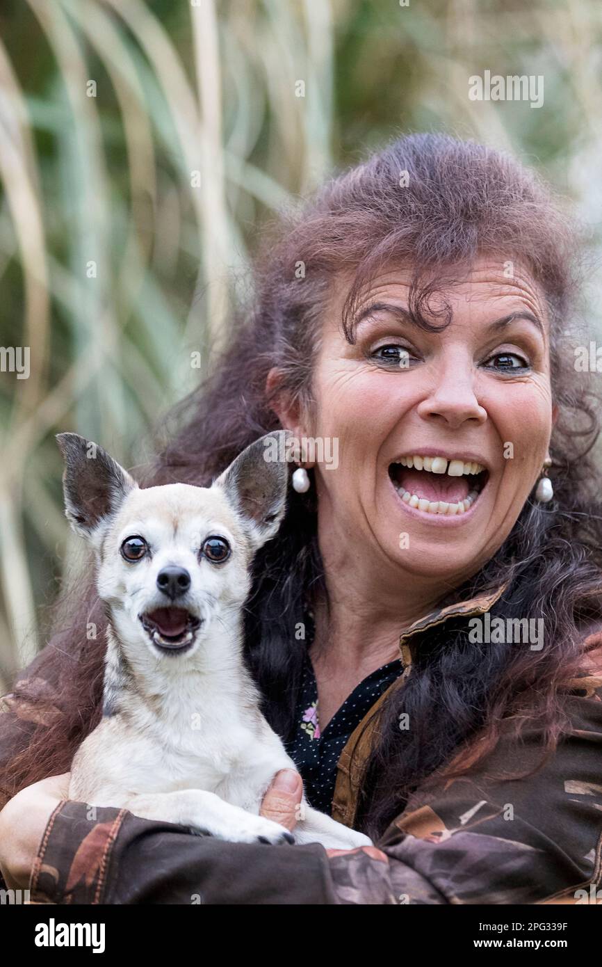 Woman and Chihuahua laughing. Provence, France Stock Photo - Alamy