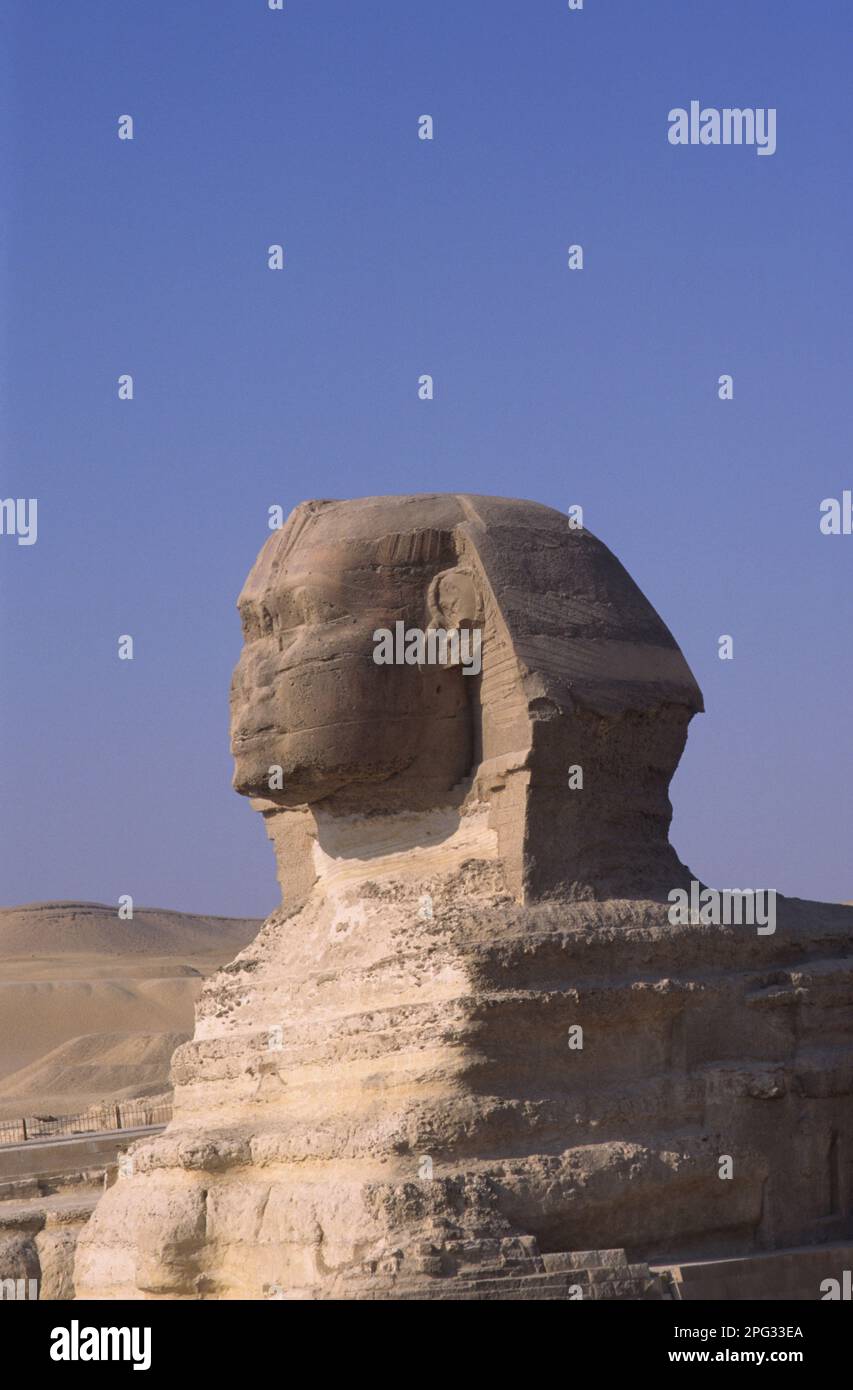 Sphinx side view pyramids giza hi-res stock photography and images - Alamy