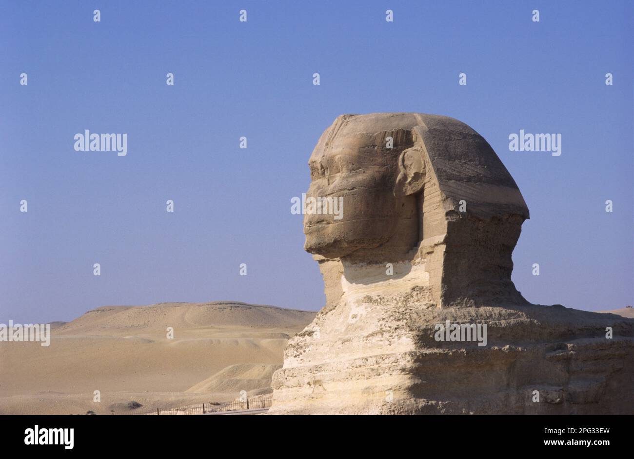The Sphinx, Giza, Cairo, Egypt Stock Photo - Alamy