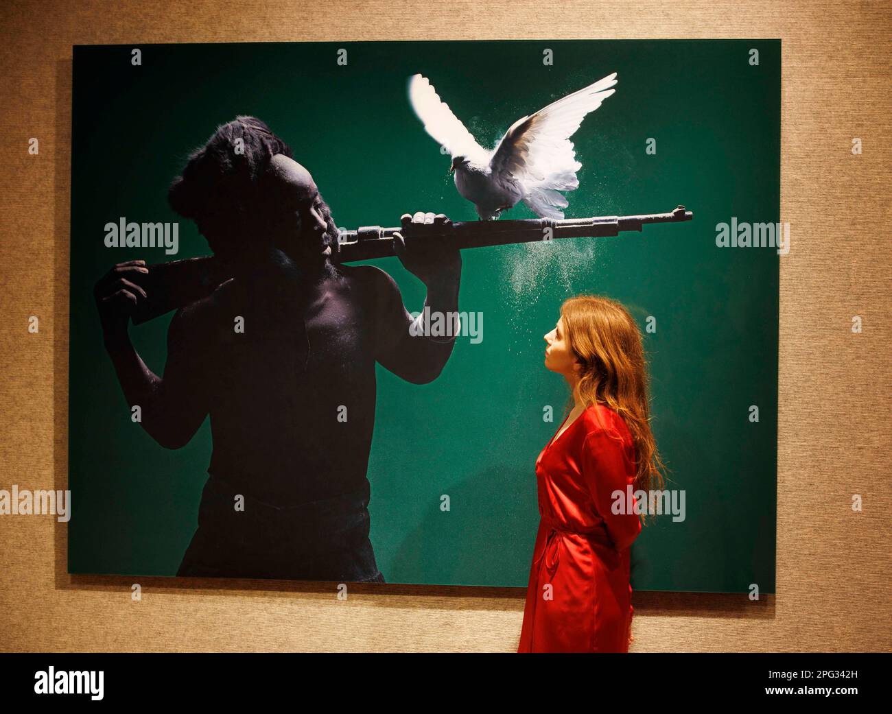 Ditaola frame iv diatola series hi-res stock photography and images - Alamy