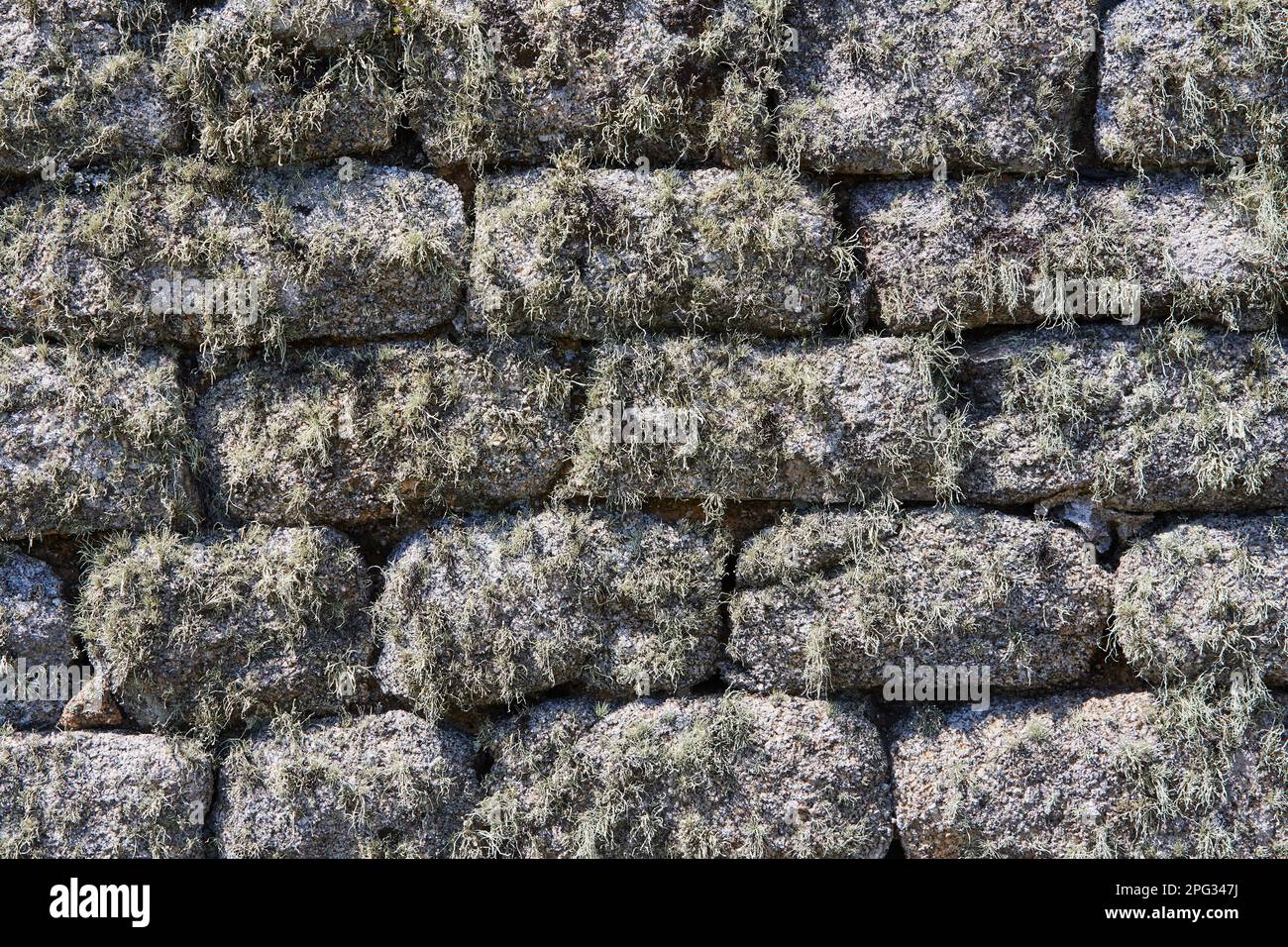 Overgrown stone wall hi-res stock photography and images - Alamy