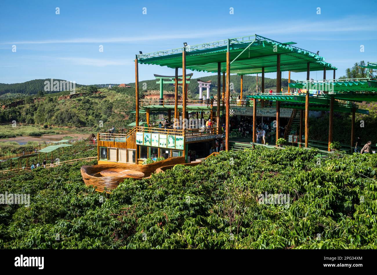 A view from Me Linh Coffee Garden across coffee trees and a valley in ...