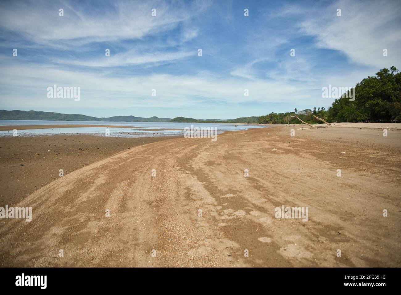 Wide sandy beach in Coron, Philippines, with palm trees and other trees ...