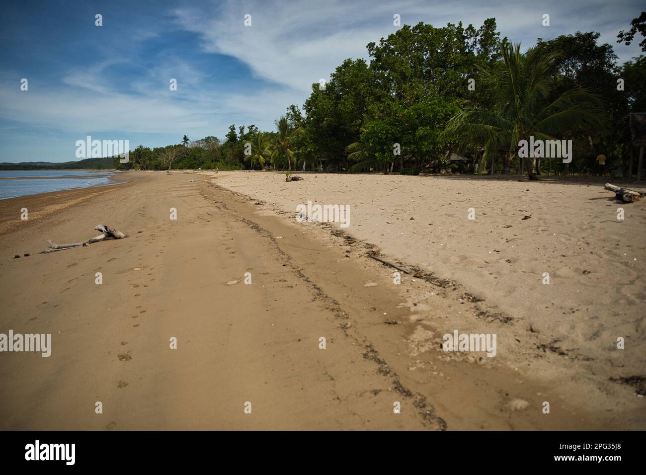 Wide sandy beach in Coron, Philippines, with palm trees and other trees ...