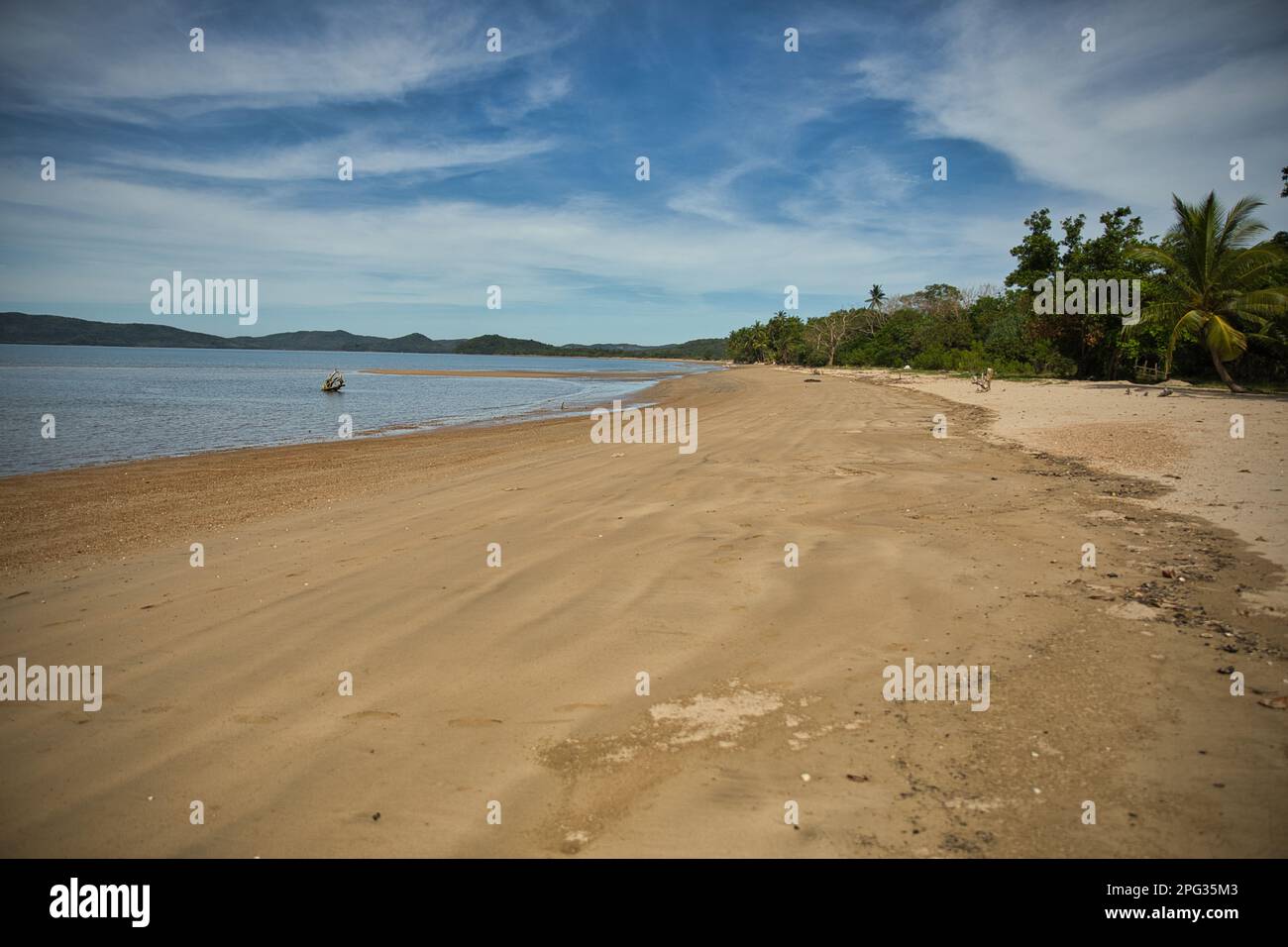 Wide sandy beach in Coron, Philippines, with palm trees and other trees ...