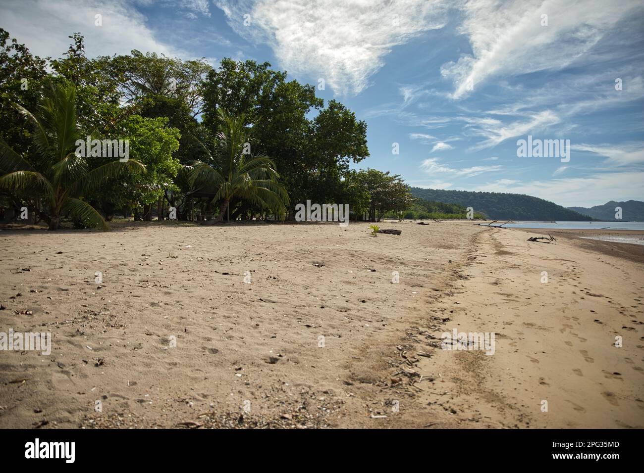 Wide sandy beach in Coron, Philippines, with palm trees and other trees ...