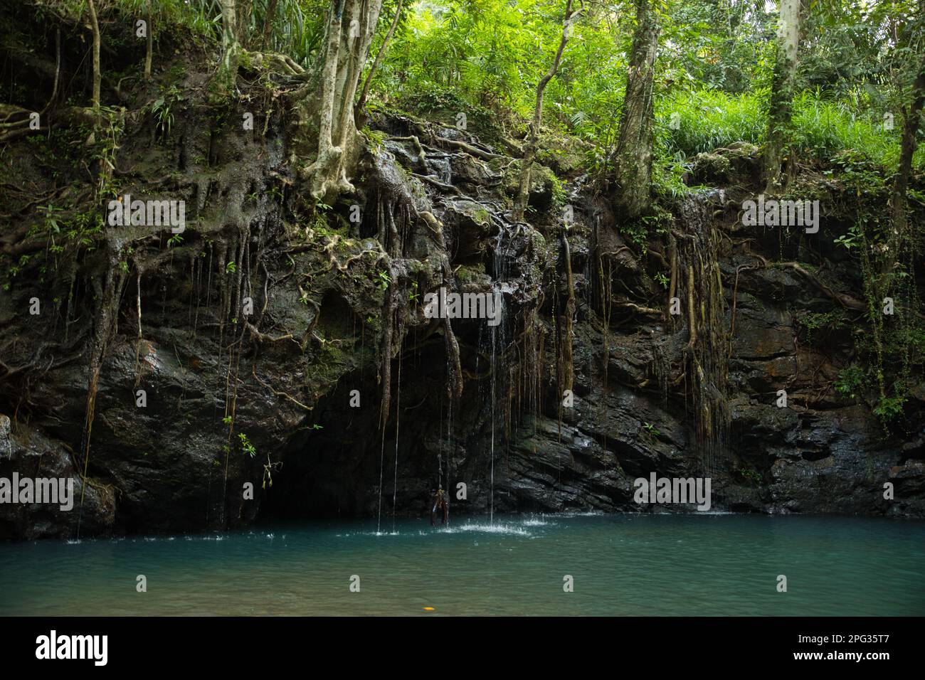 Idyllic, natural water basin in Coron in the Philippines surrounded by ...