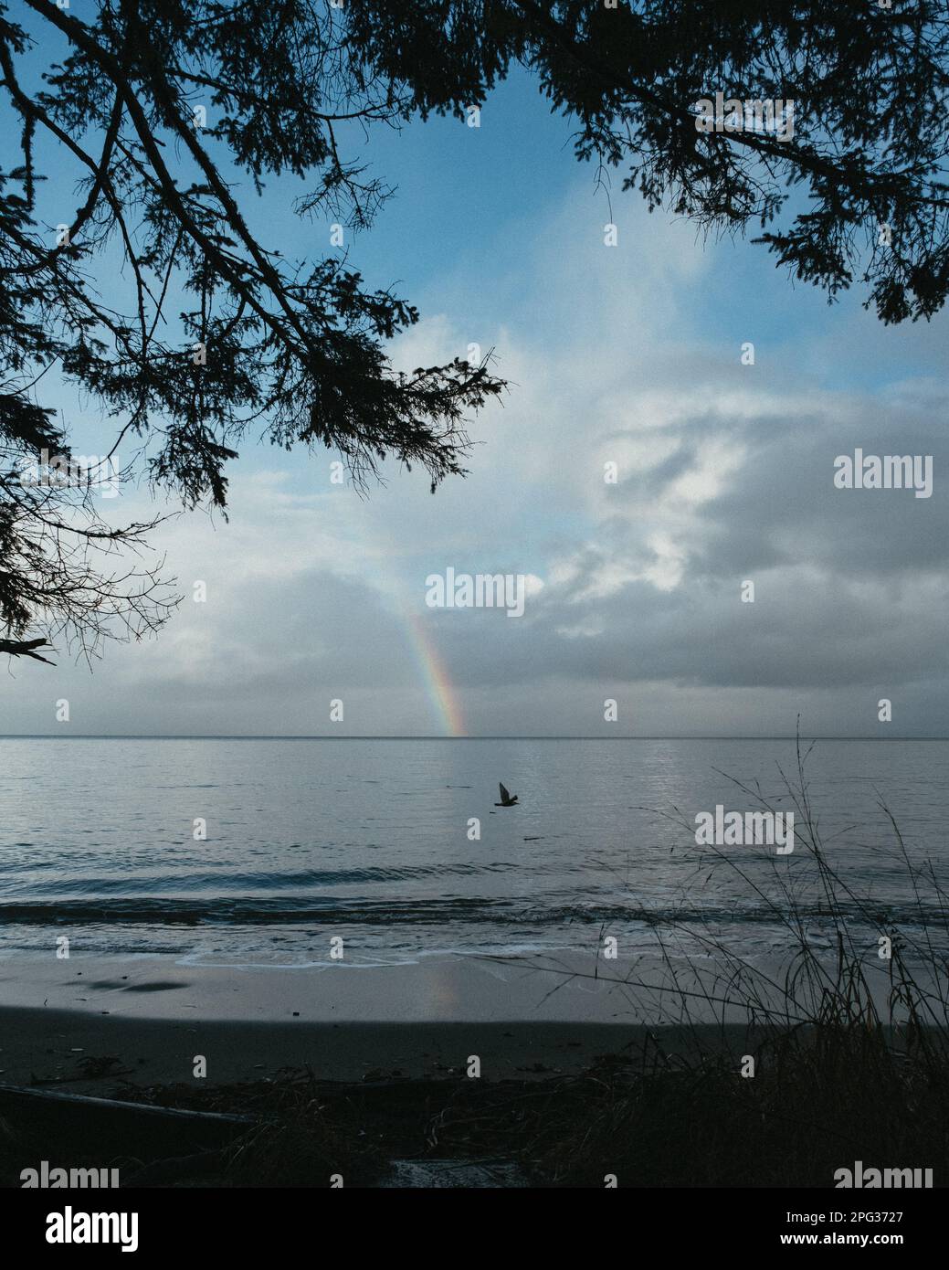 Rainbow cast over the Pacific Northwest waters Stock Photo - Alamy